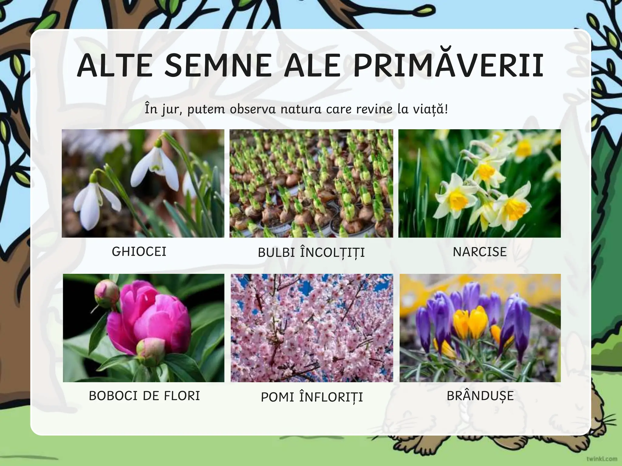 Totul despre primavara PowerPoint_version.ppt