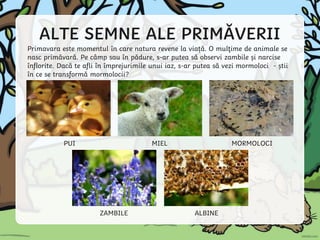 Totul despre primavara PowerPoint_version.ppt