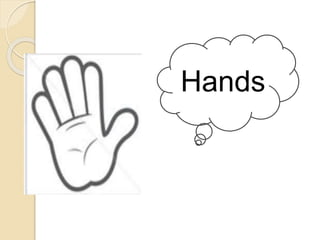Touch | PPTX