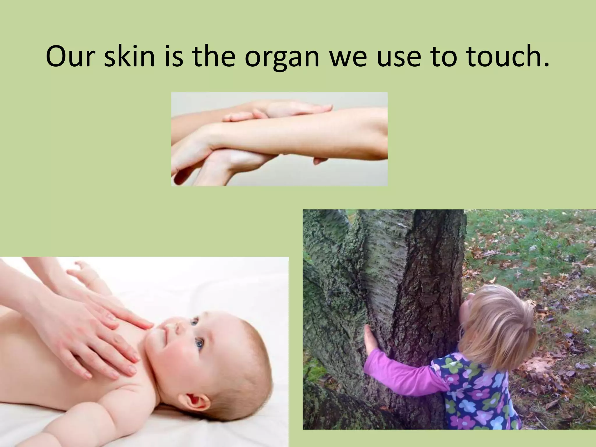 SENSE OF TOUCH | PPTX