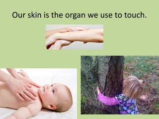 SENSE OF TOUCH | PPTX