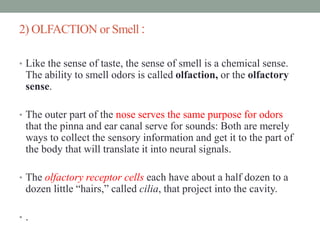 Touch senstation | PPTX