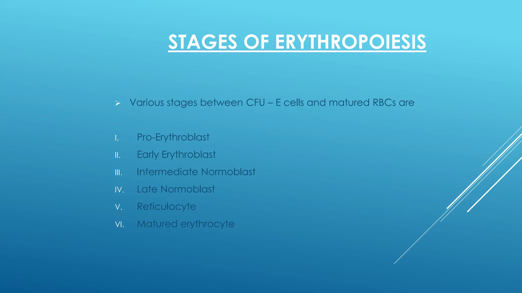 Stem cell different stages of erythropoiesis | PDF