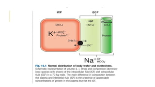 Approach to patient of sodium imbalance | PPTX