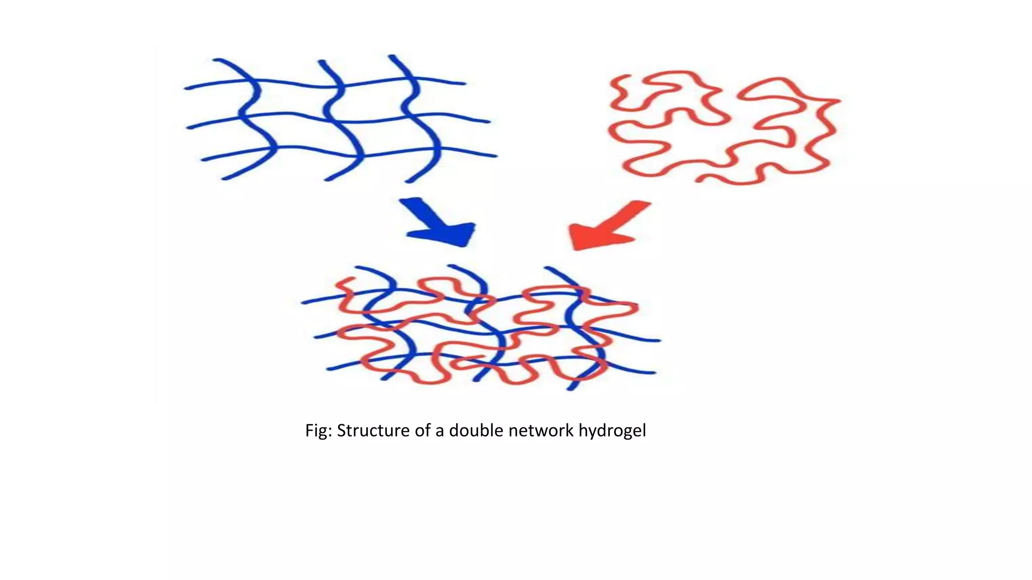 Tough double network hydrogel and its applications | PPTX