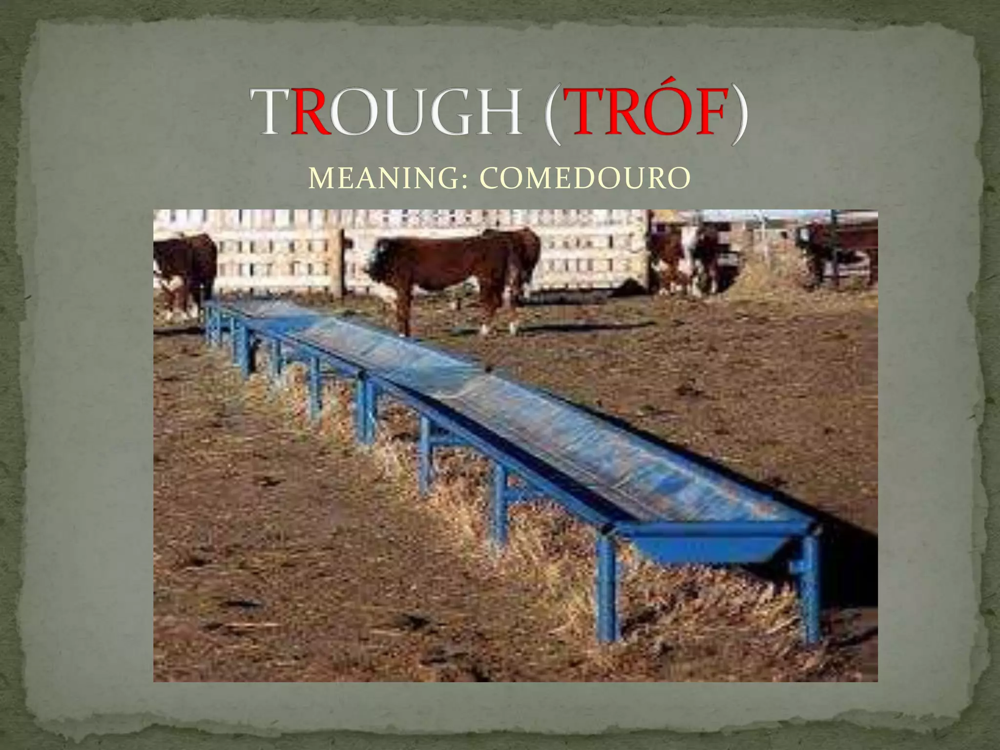 TAUGHT, TOUGH,THROUGH, THOROUGH, THOUGHT,THOUGH,TOUGH,THROUGHOUT. | PPTX