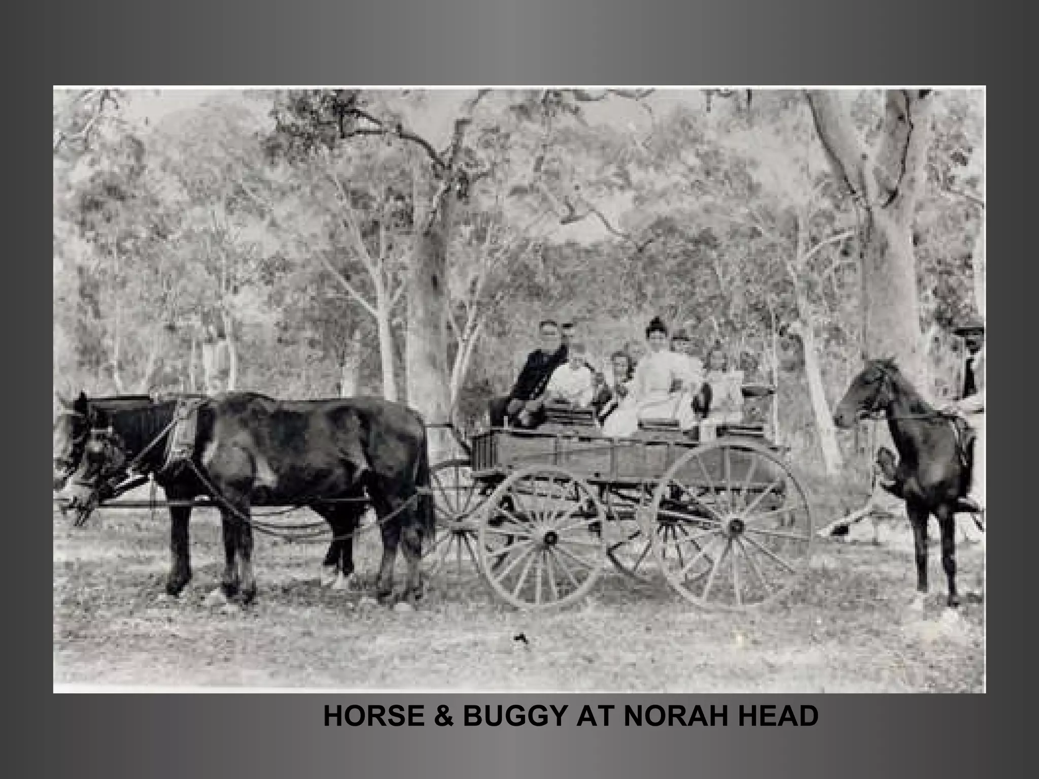 Toukley history | PPS