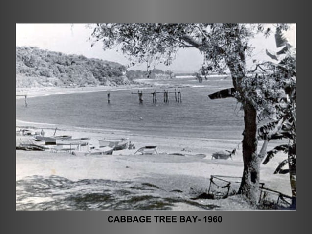 Toukley history | PPS