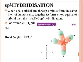 Hybridization and types of hybridization | PPT
