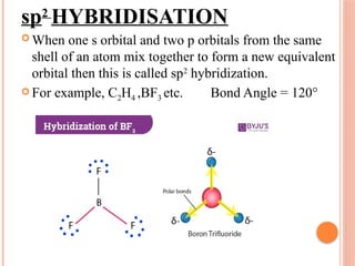 Hybridization and types of hybridization | PPT