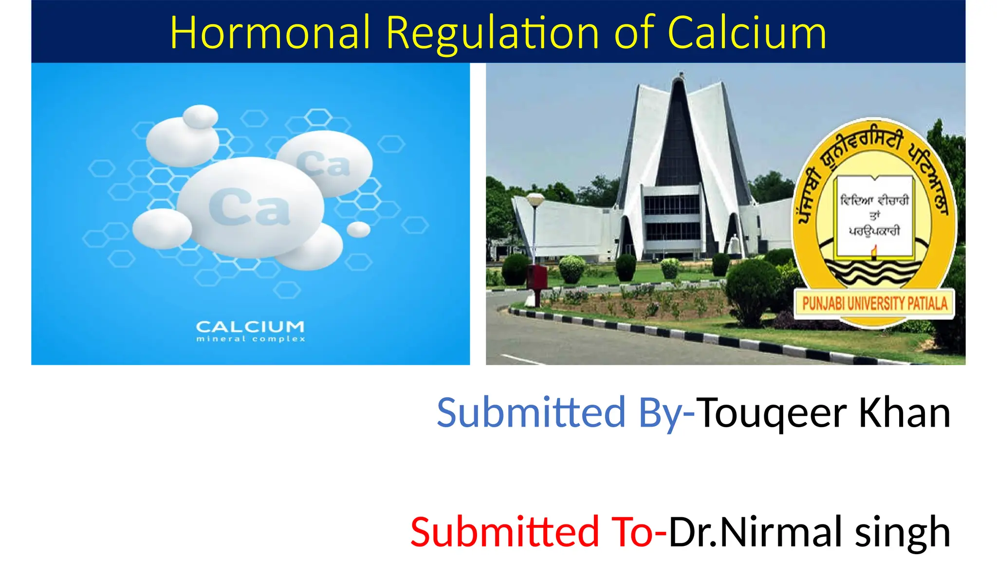 Drug Affecting Calcium Regulation/Homeostasis of calcium goodman ...