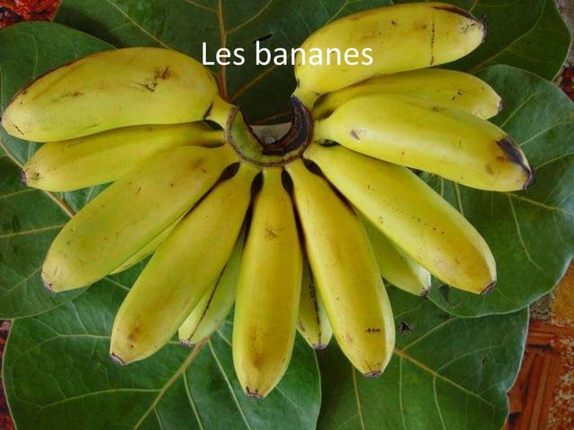 LES ALIMENTS- Beatriz 7C | PPTX