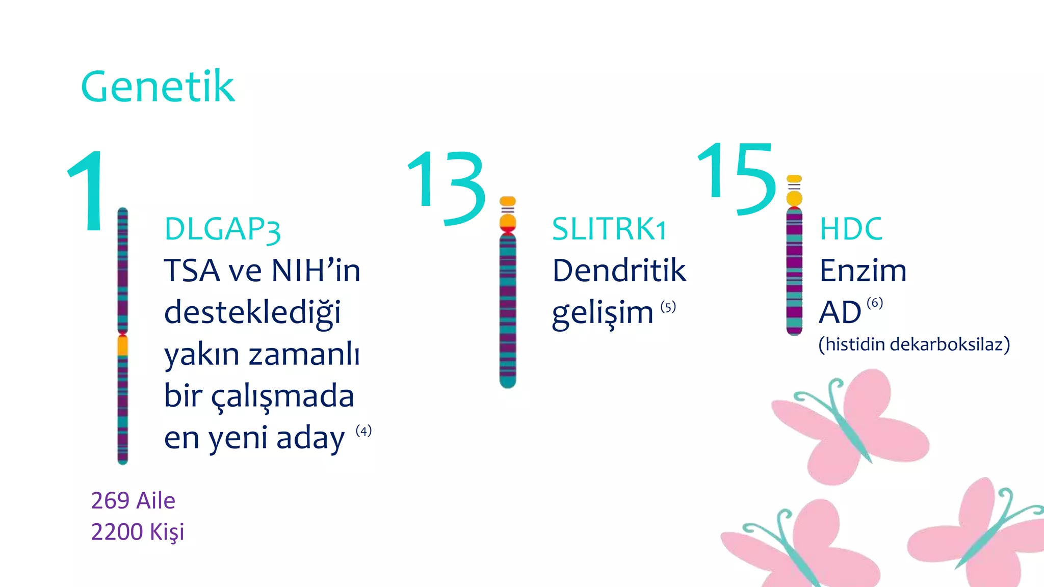 Tourette Sendromu: Günümüzde Önem Kazanmış Teoriler | PPTX