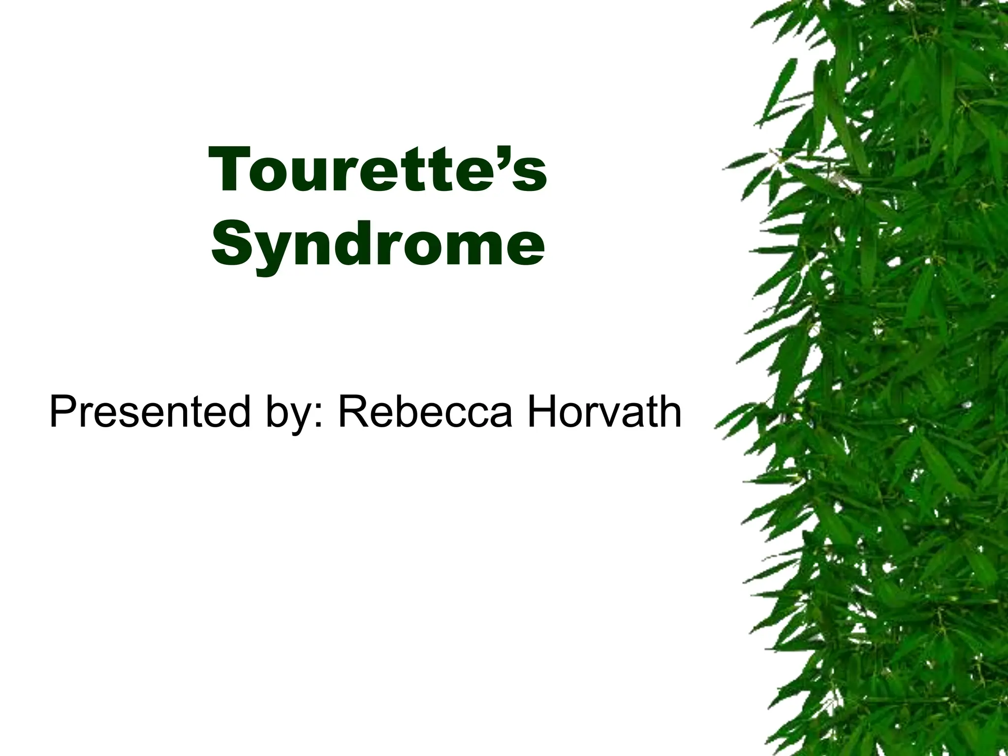 Tourette's Syndrome.ppt