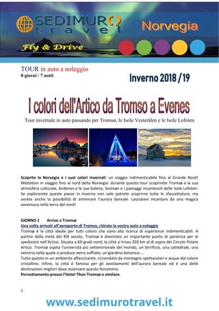 Tour in auto a noleggio i colori dell'artico da tromso a evenes 8 ...