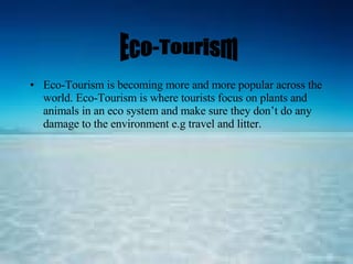 Tourism Assessment Example - Level 5 | PPT