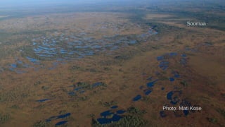 Tourism as a tool for sustainable development of Polesia region | PPT