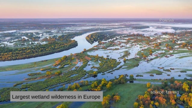 Tourism as a tool for sustainable development of Polesia region | PPT