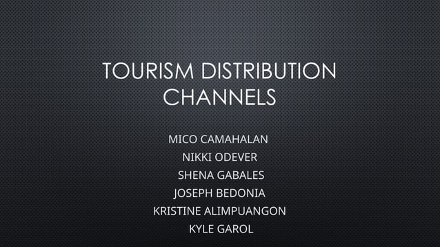Tourism Distributioxczcczczn Channels.pptx