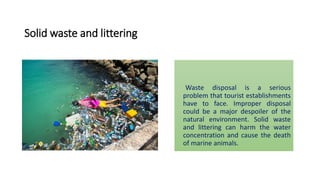 Tourism & environment | PPTX