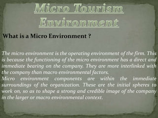 Tourism Environment.pptx