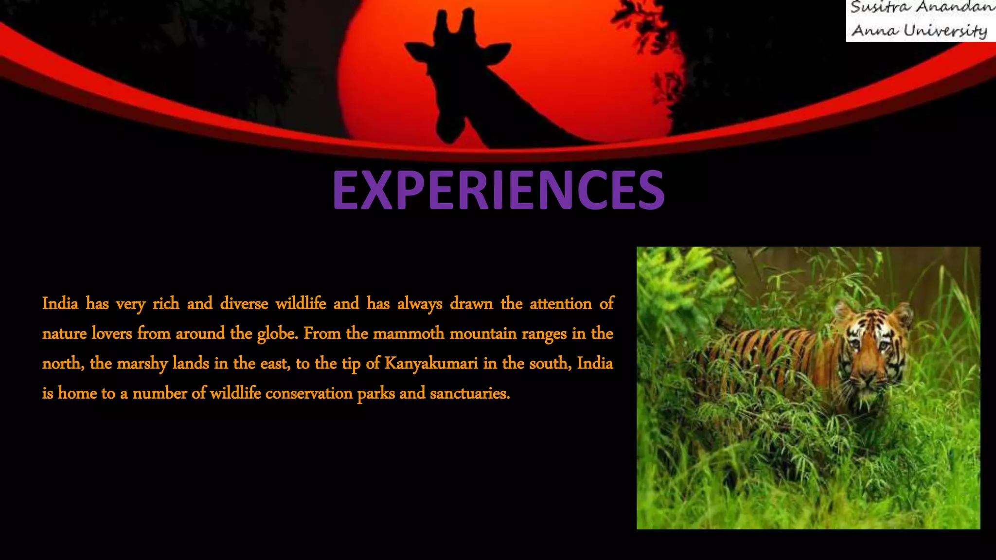 Wildlife Tourism Geography | PPT
