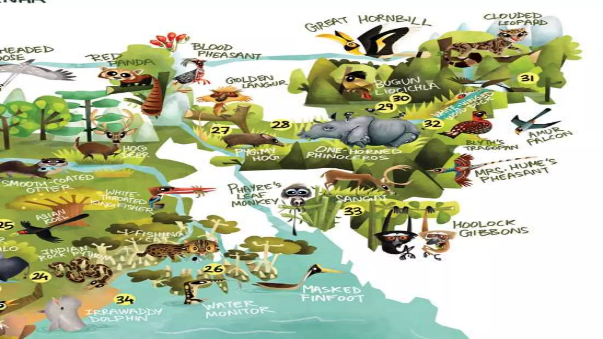 Wildlife Tourism Geography | PPT