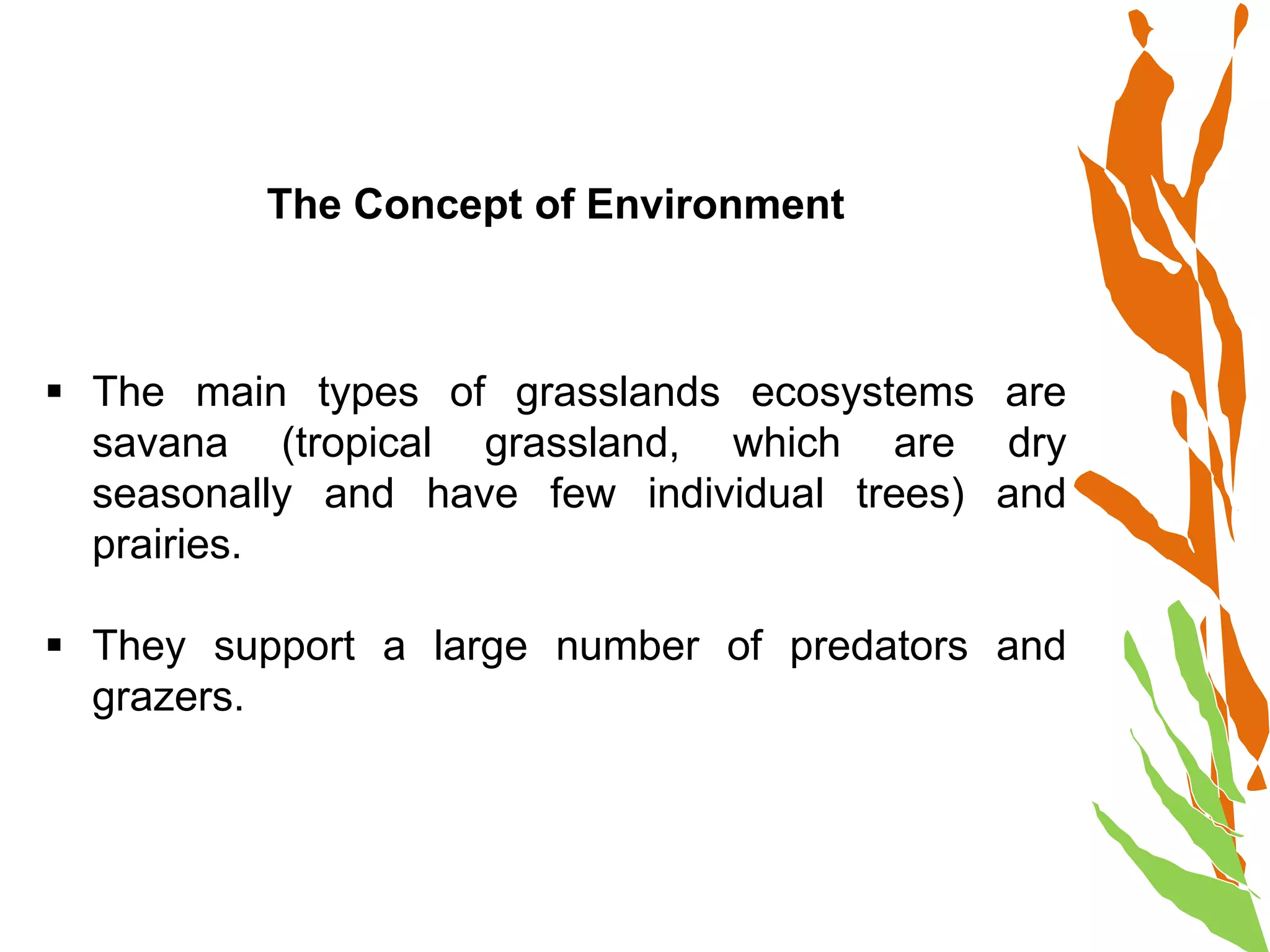 Tourism Impacts on the Environment.pptx