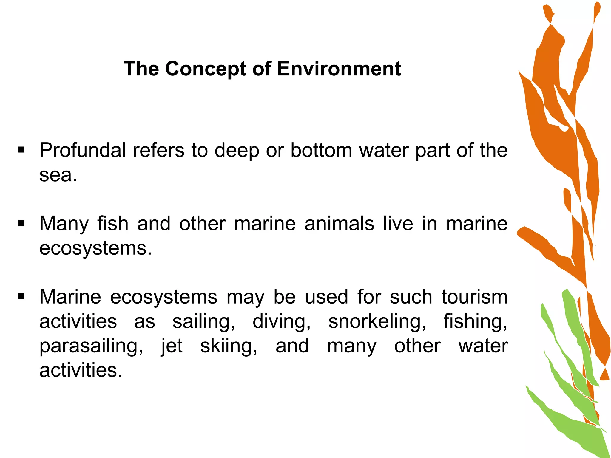 Tourism Impacts on the Environment.pptx