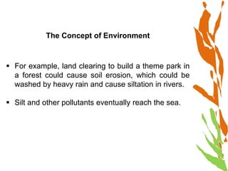 Tourism Impacts on the Environment.pptx