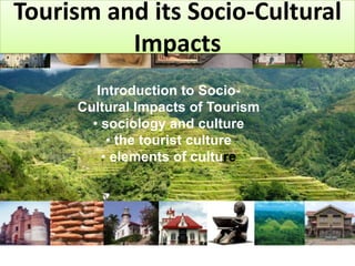 tourismimpacts PPT.pdf