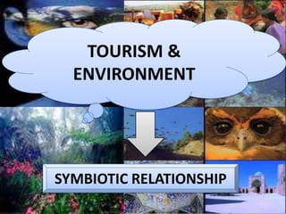 tourismimpacts PPT.pdf