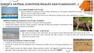 Gujarat Tourism | PDF