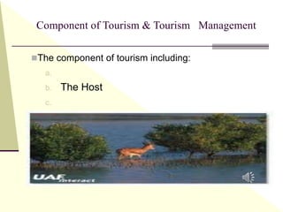 Tourism Industry.pptx