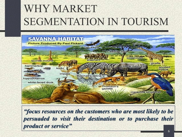 Tourism market segmentation in context of nepal | PPTX