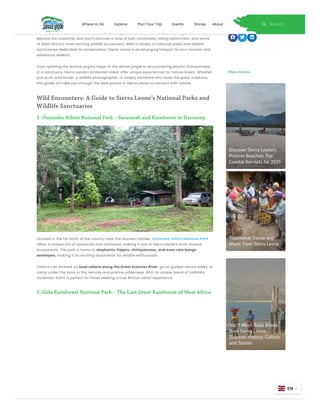 Wild Encounters: A Guide to Sierra Leone’s National Parks and Wildlife ...