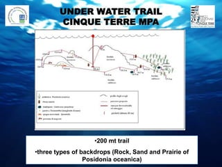 Case Study 1: The Underwater Trail for Disabled SCUBA Divers | PPT
