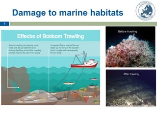 Introduction: Impact of human activity on fragile marine ecosystems ...