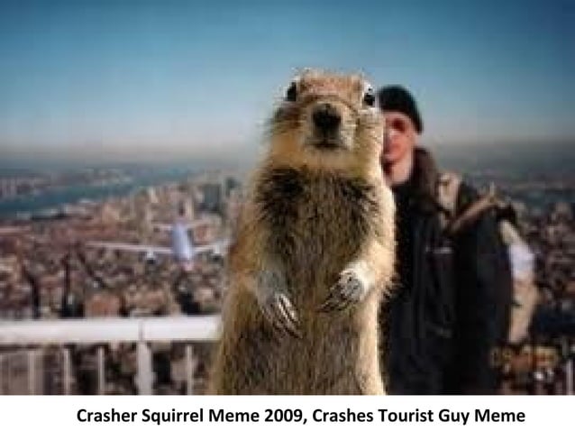 The Tourist Guy Meme | PPT