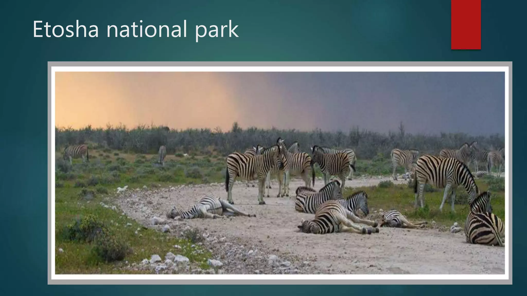 Tourist attractions in the sadc region | PPTX