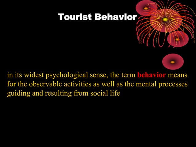 Tourist Behavior.pptx