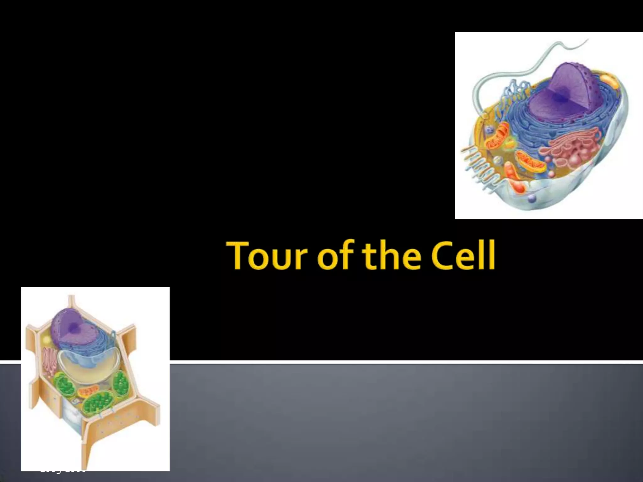 Tour of the cell | PPTX | Biological Sciences | Science