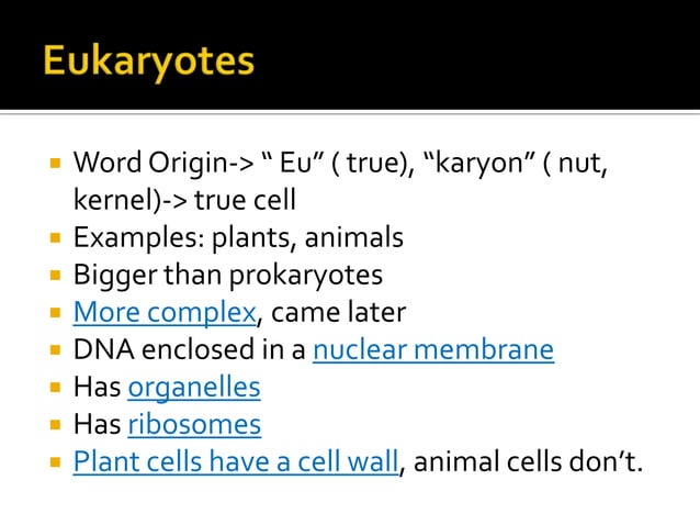 Tour of the cell | PPTX | Biological Sciences | Science