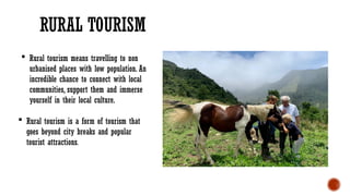 Tourism in the countryside, tourism.pptx