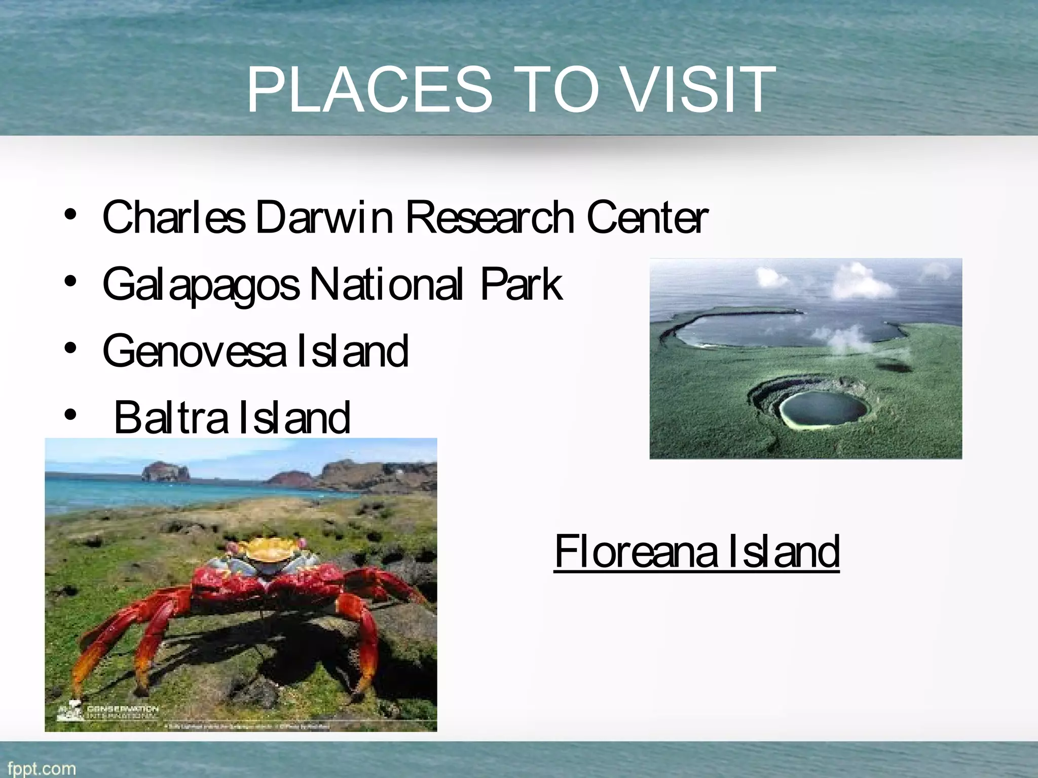 Tour to galapagos | PPT