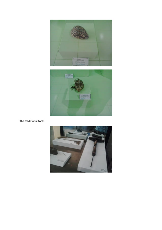 Tour to museum adityawarman | PDF