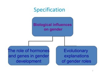 Gender -gender hormones and genes | PPT