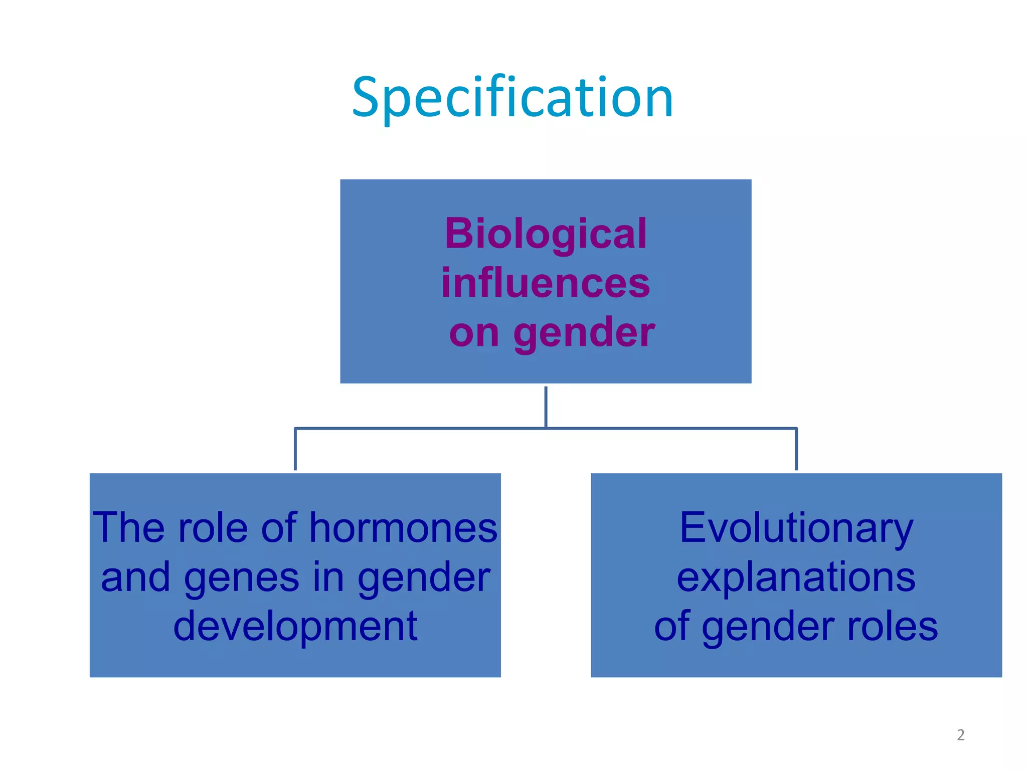 Gender - hormones and genes | PPTX