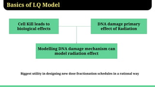 To use or not to use the LQ model at “high” radiation doses | PPT