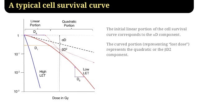 To use or not to use the LQ model at “high” radiation doses